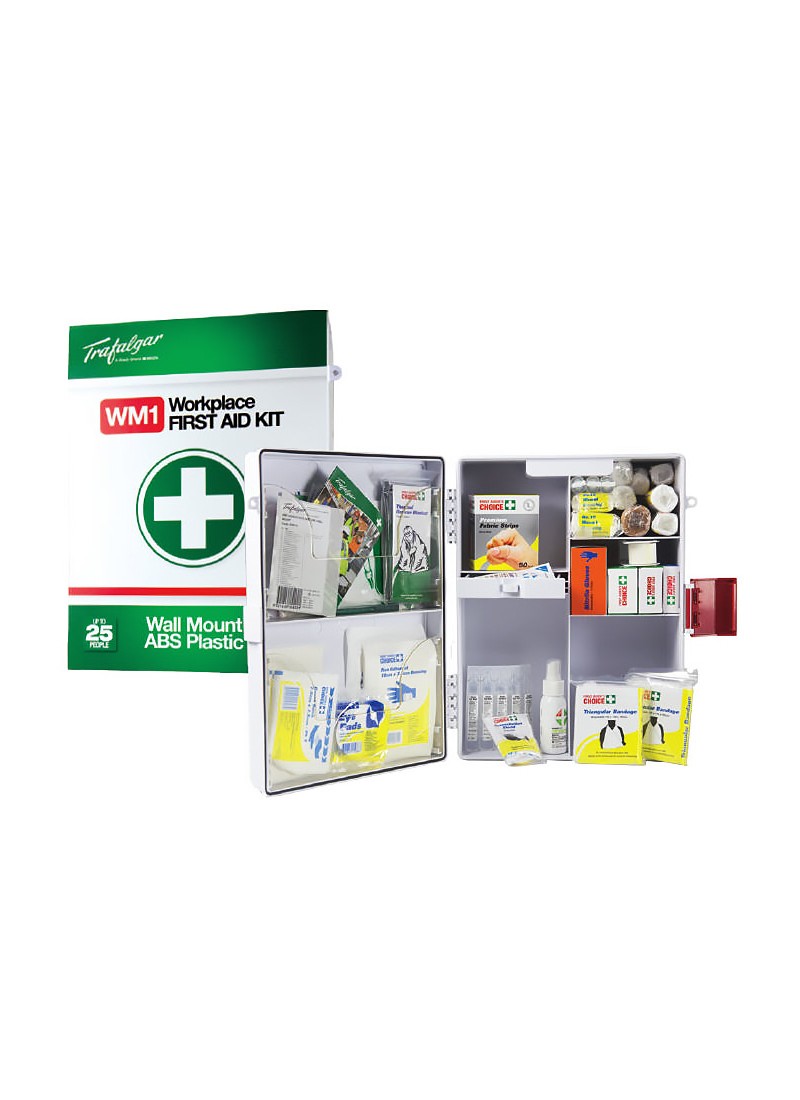 Wall Mount Workplace First Aid Kit (Plastic Case)
