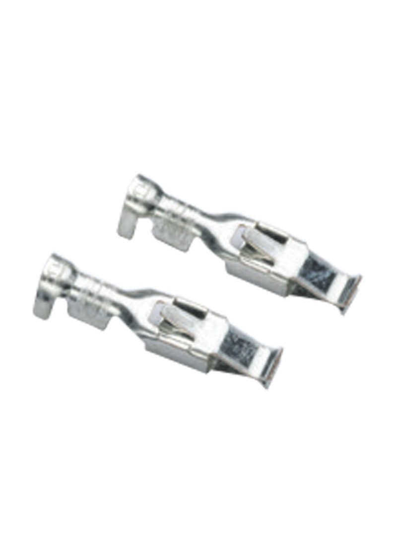 Fuel Injection Terminal